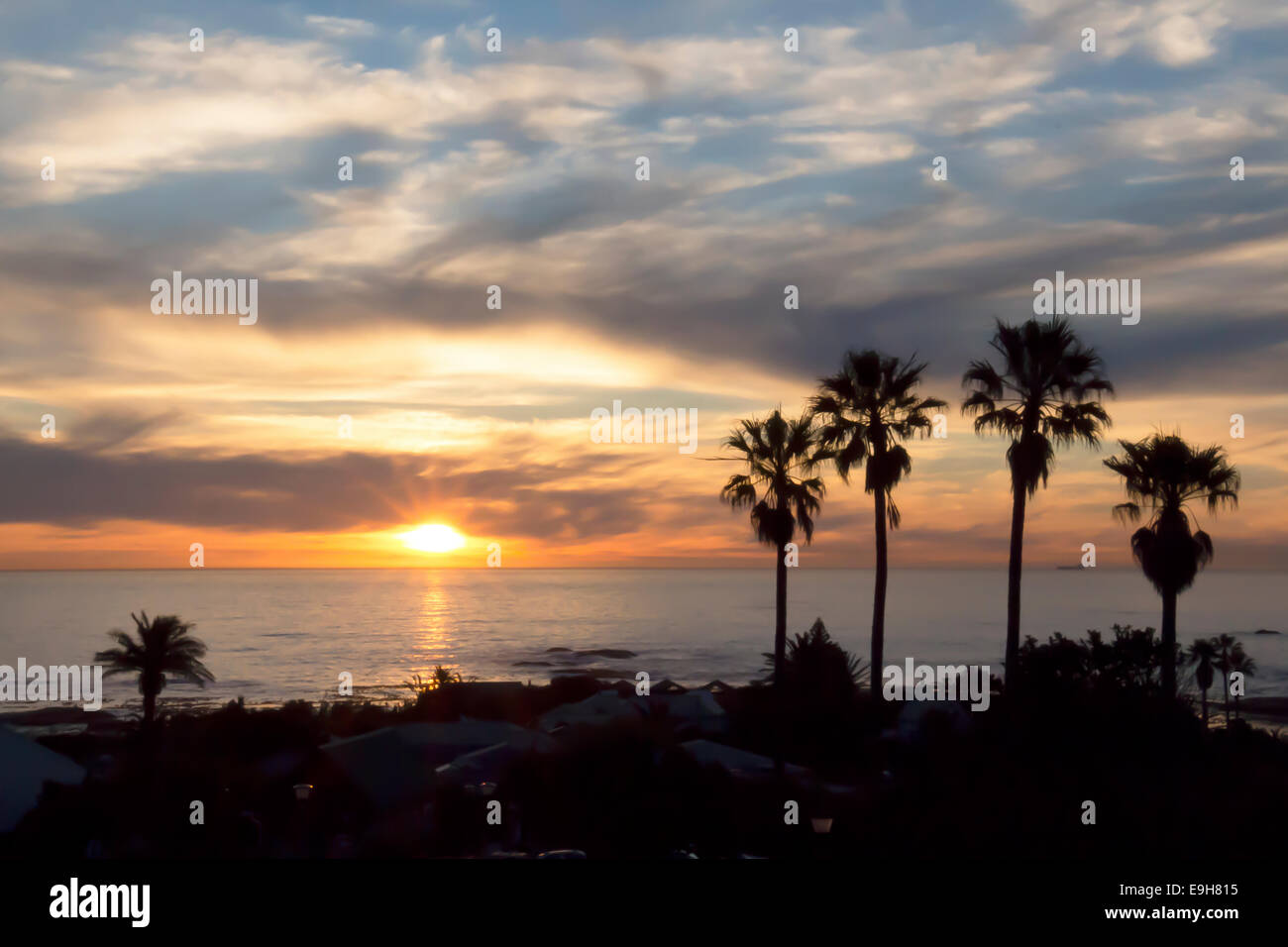 Palm trees silhouette at sunset Stock Photo - Alamy