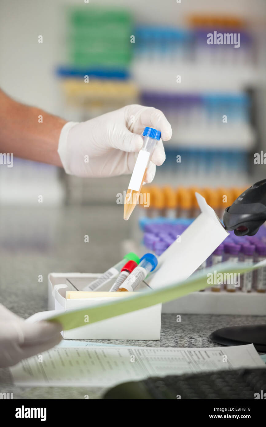 Technician With Sample Analyzing Document In Lab Stock Photo - Alamy