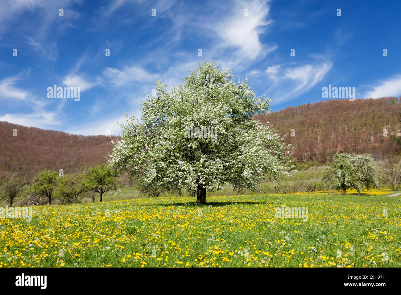 Neidlinger Valley High Resolution Stock Photography and Images - Alamy