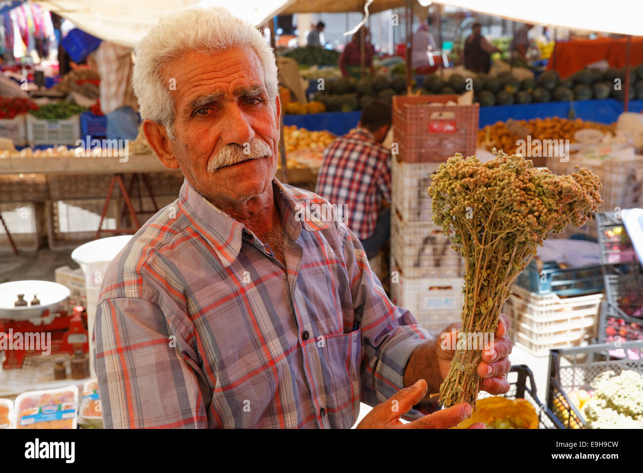 Man holding herbs, farmer's market, Manavgat, Antalya Province, Turkey ...