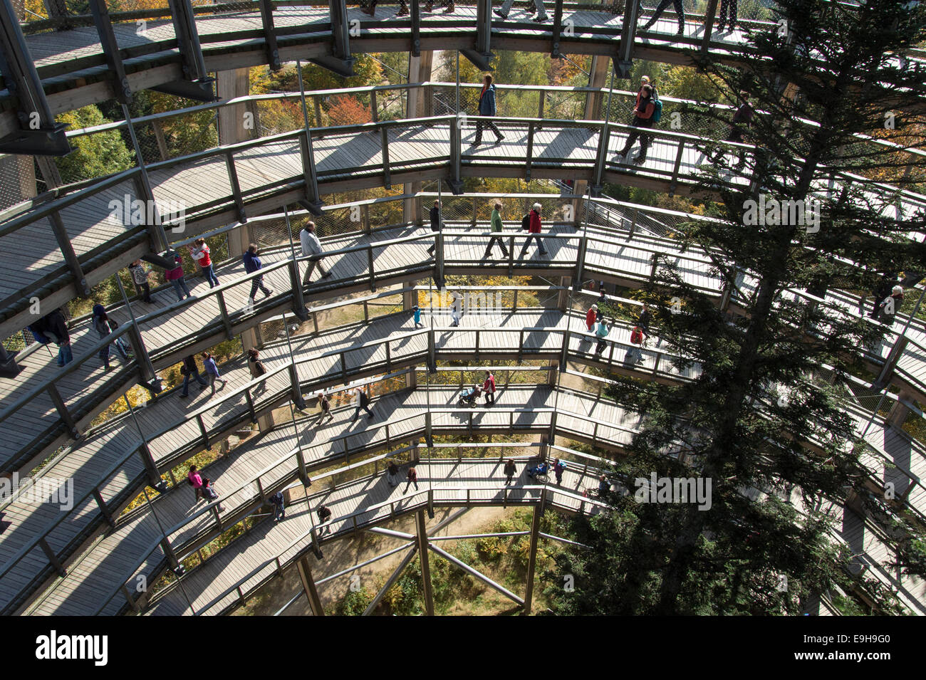 Tree tower, Tree Top Walk, Bavarian Forest National Park, Neuschönau ...
