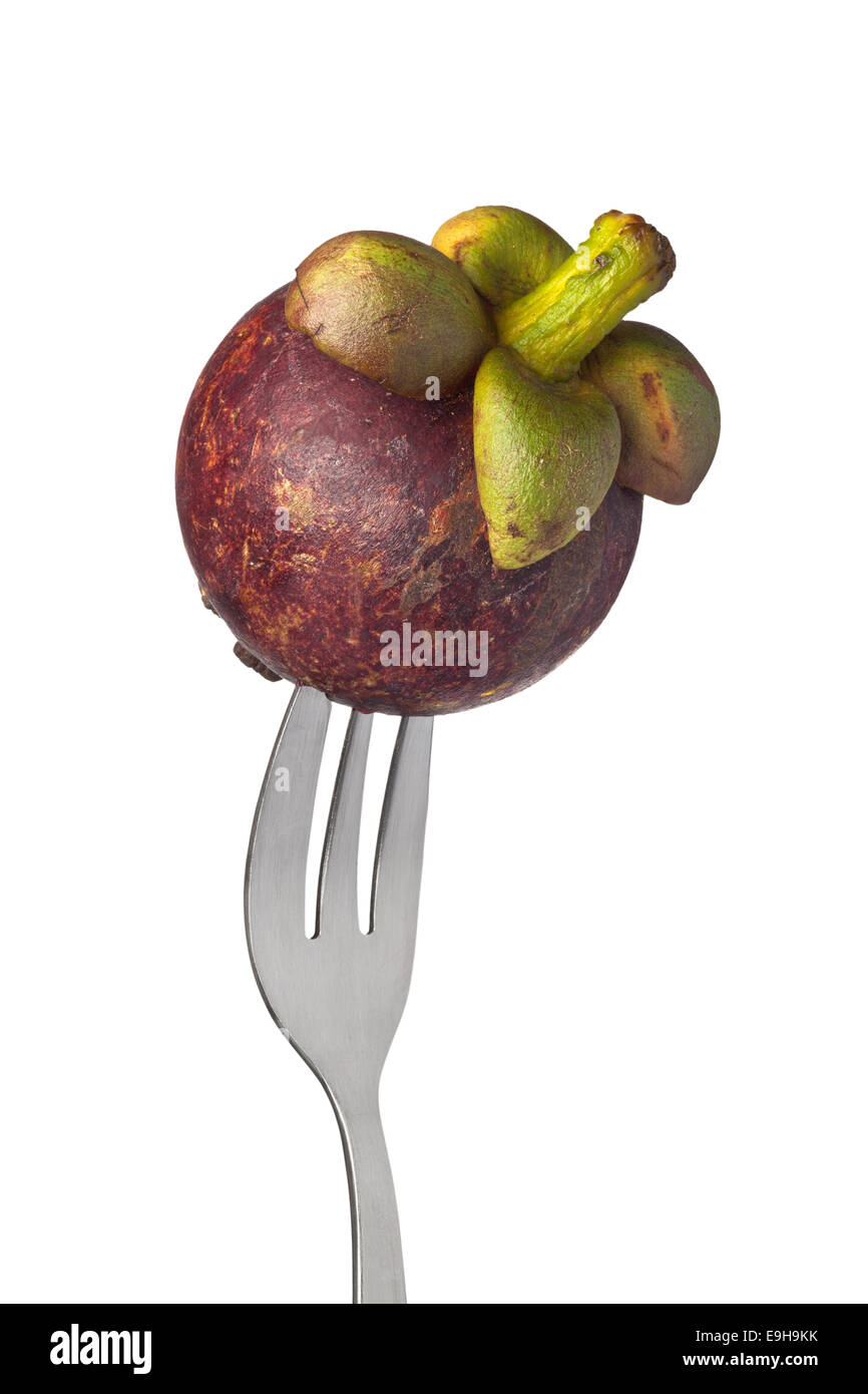 Single whole mangosteen held by a fork isolated on white background ...
