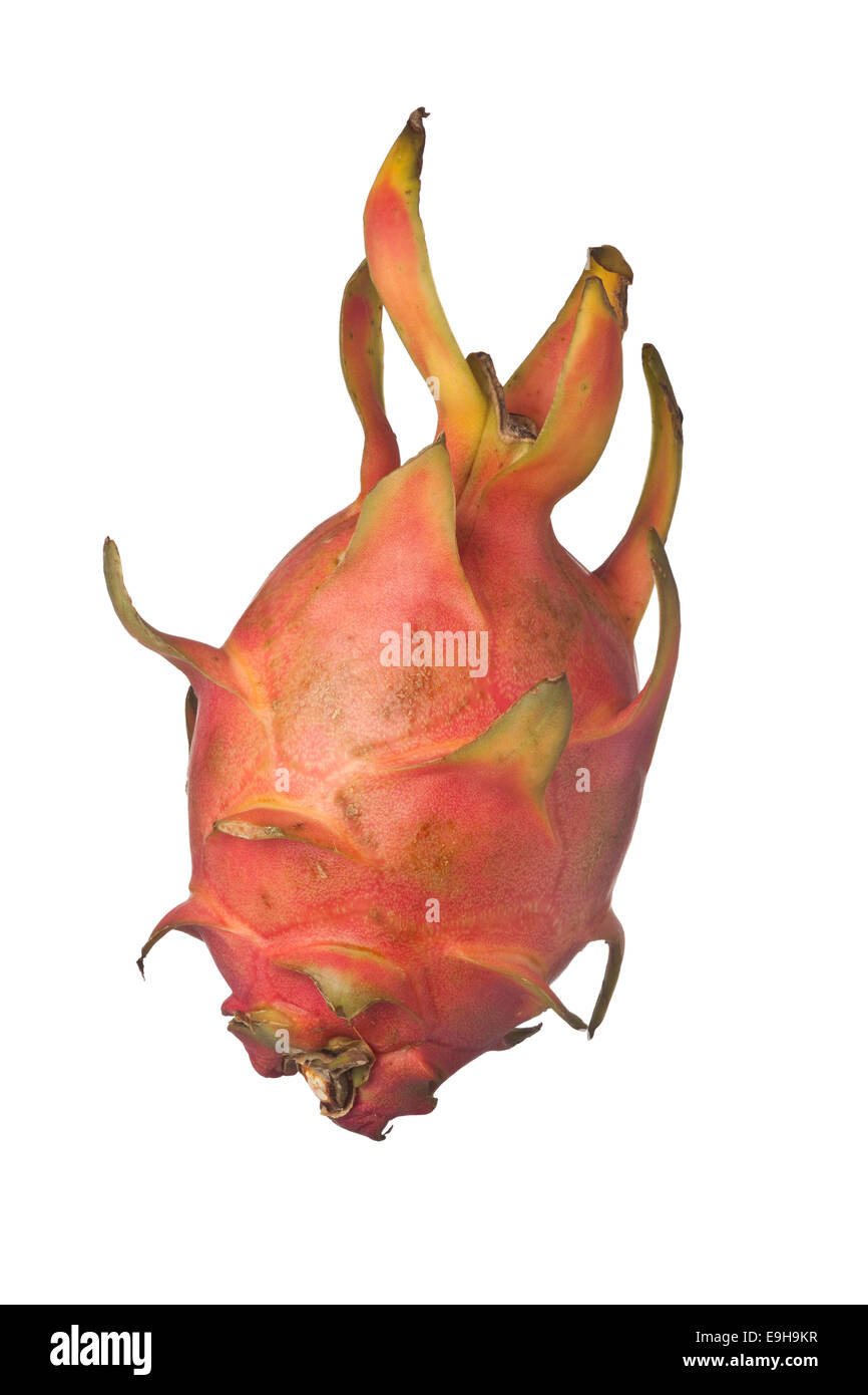 Single whole dragonfruit isolated on white background Stock Photo - Alamy