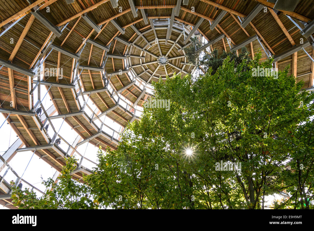 Tree tower, Tree Top Walk, Bavarian Forest National Park, Neuschönau ...