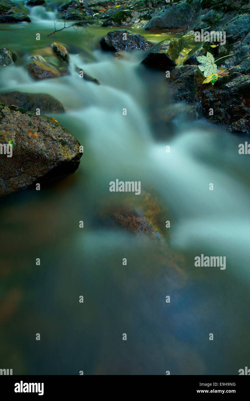 Ilse river, Harz, Ilsenburg, Saxony-Anhalt, Germany Stock Photo - Alamy