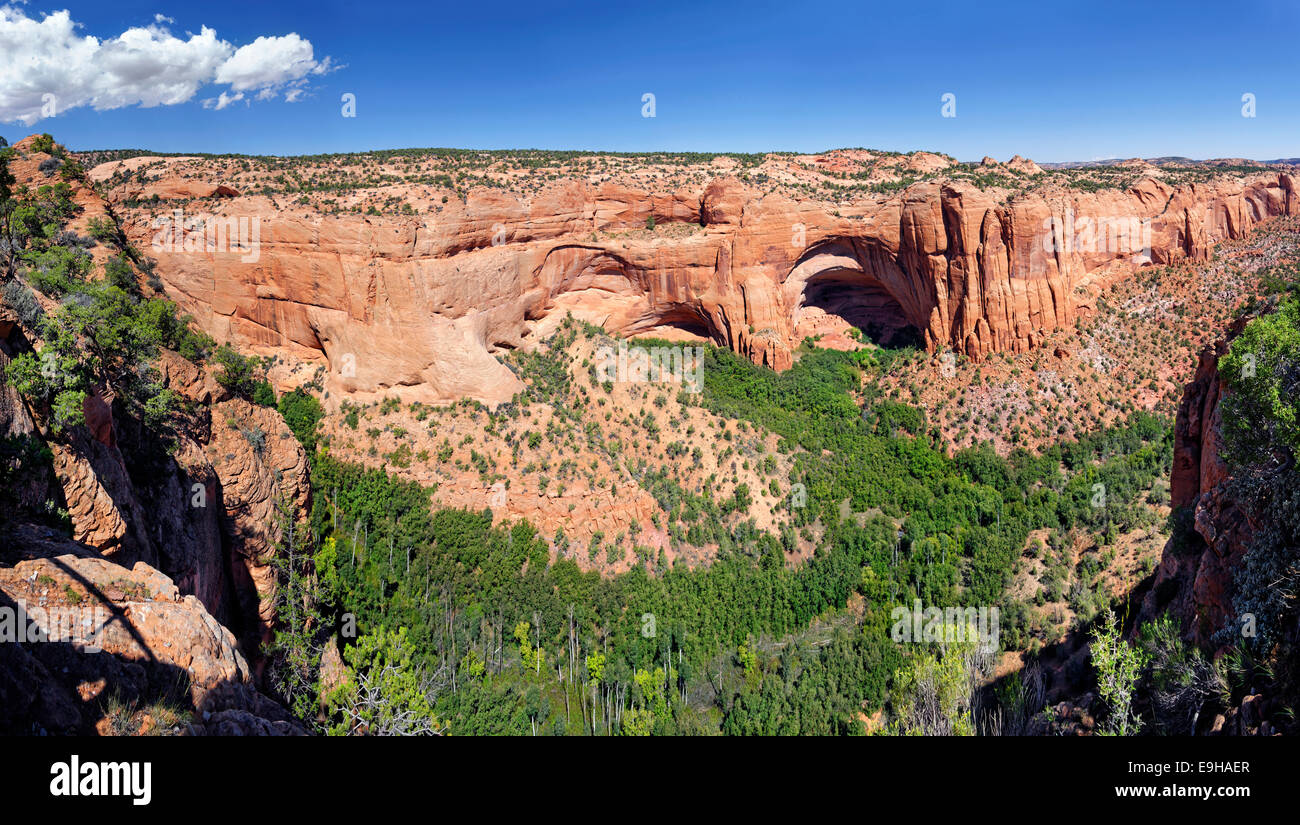 The wooded Betatakin Canyon with the Anasazi cliff dwellings, from ...