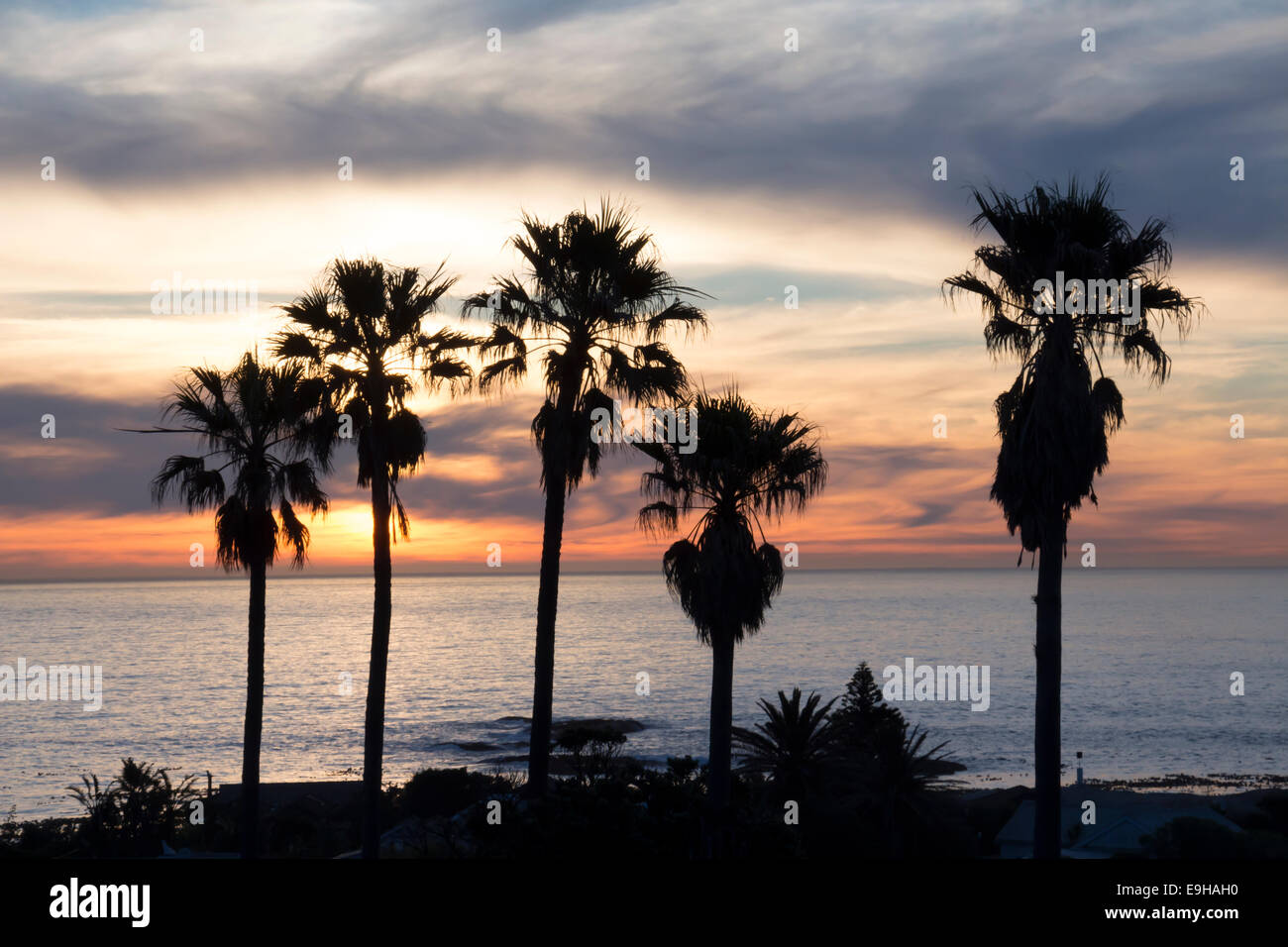 Palm trees silhouette at sunset Stock Photo - Alamy
