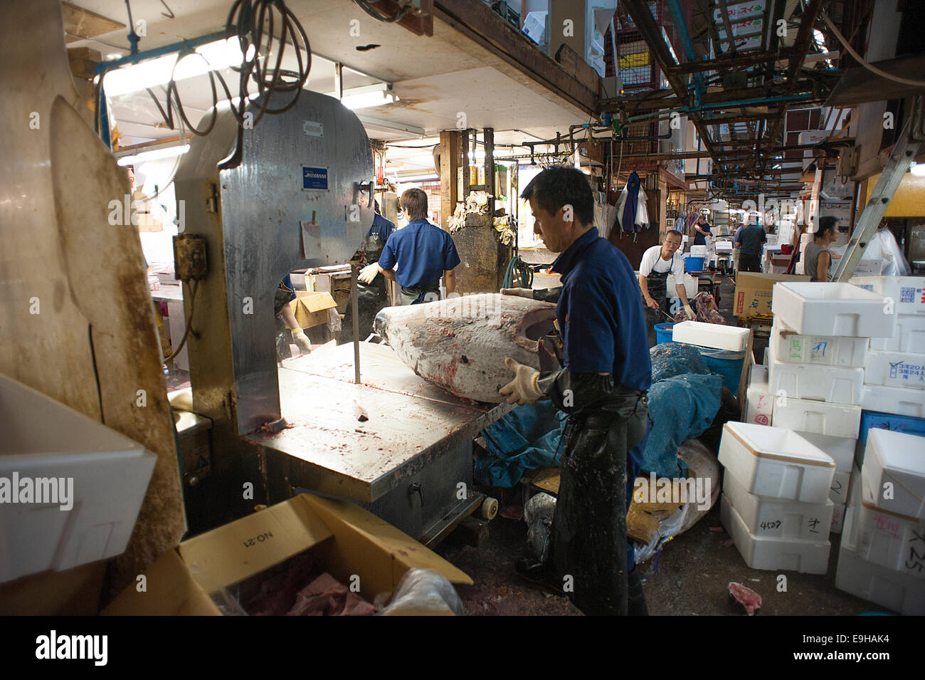 Tsukiji fish market, Tokyo, Japan Stock Photo - Alamy
