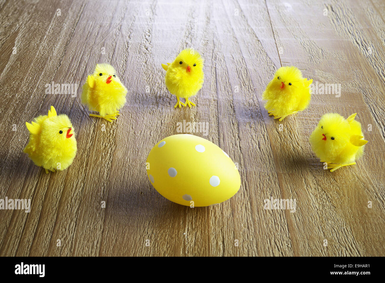 Spring chickens hi-res stock photography and images - Alamy
