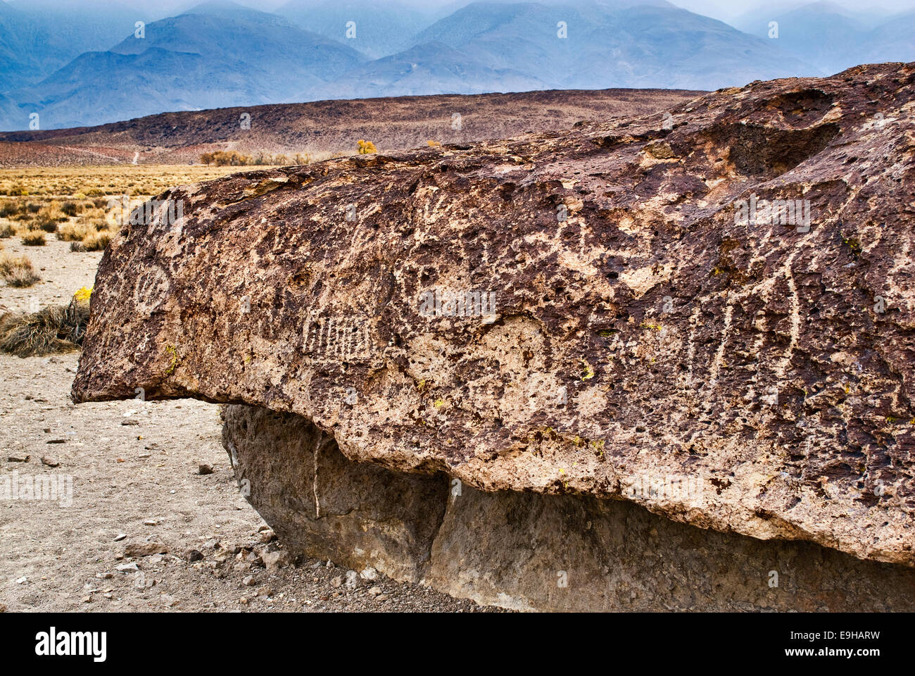 Petroglyphs at Fish Slough Road in Chalfant Valley with White Mountains ...
