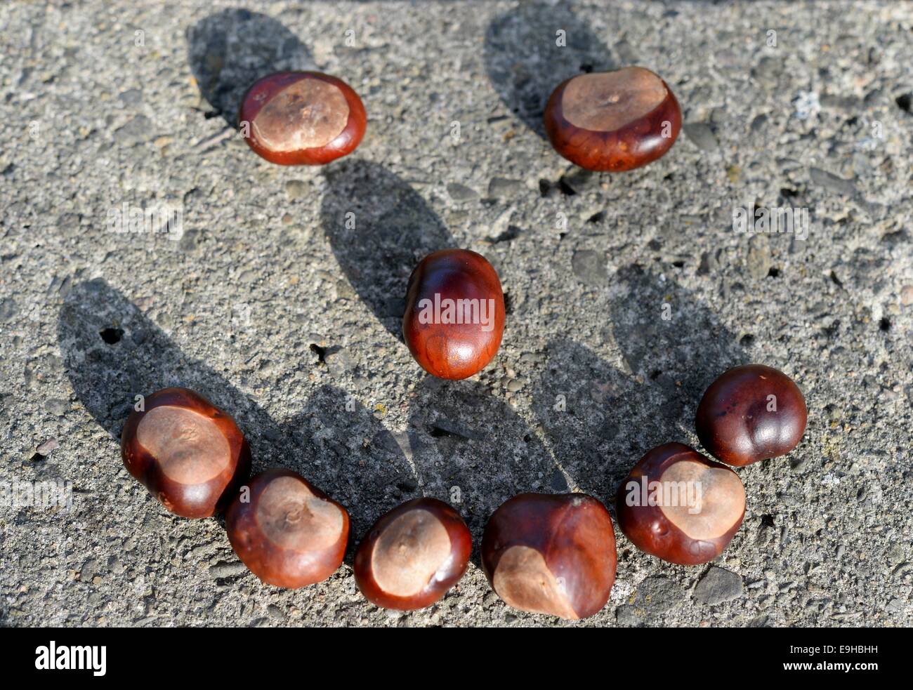 Picking chestnuts, Germany, 27. October 2014. Photo: Frank May/picture ...