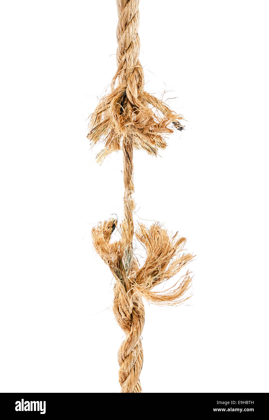 Torn rope isoalted on a white background Stock Photo - Alamy