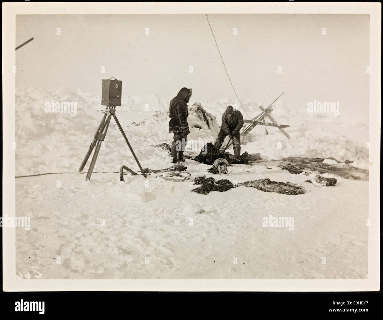 A photograph from the Maud Expedition (1918-1925) depicting two ...