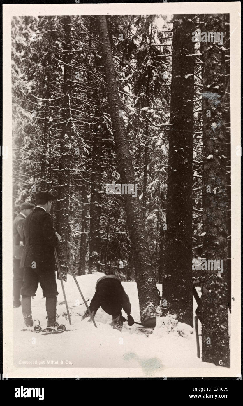 This photograph depicts lumbering activities by Mittet & Co., capturing ...