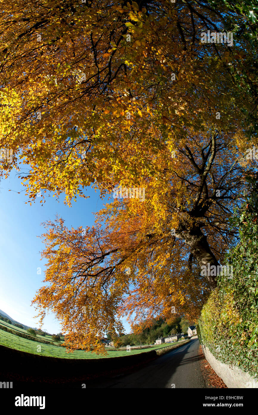 Ribble valley autumn hi-res stock photography and images - Alamy