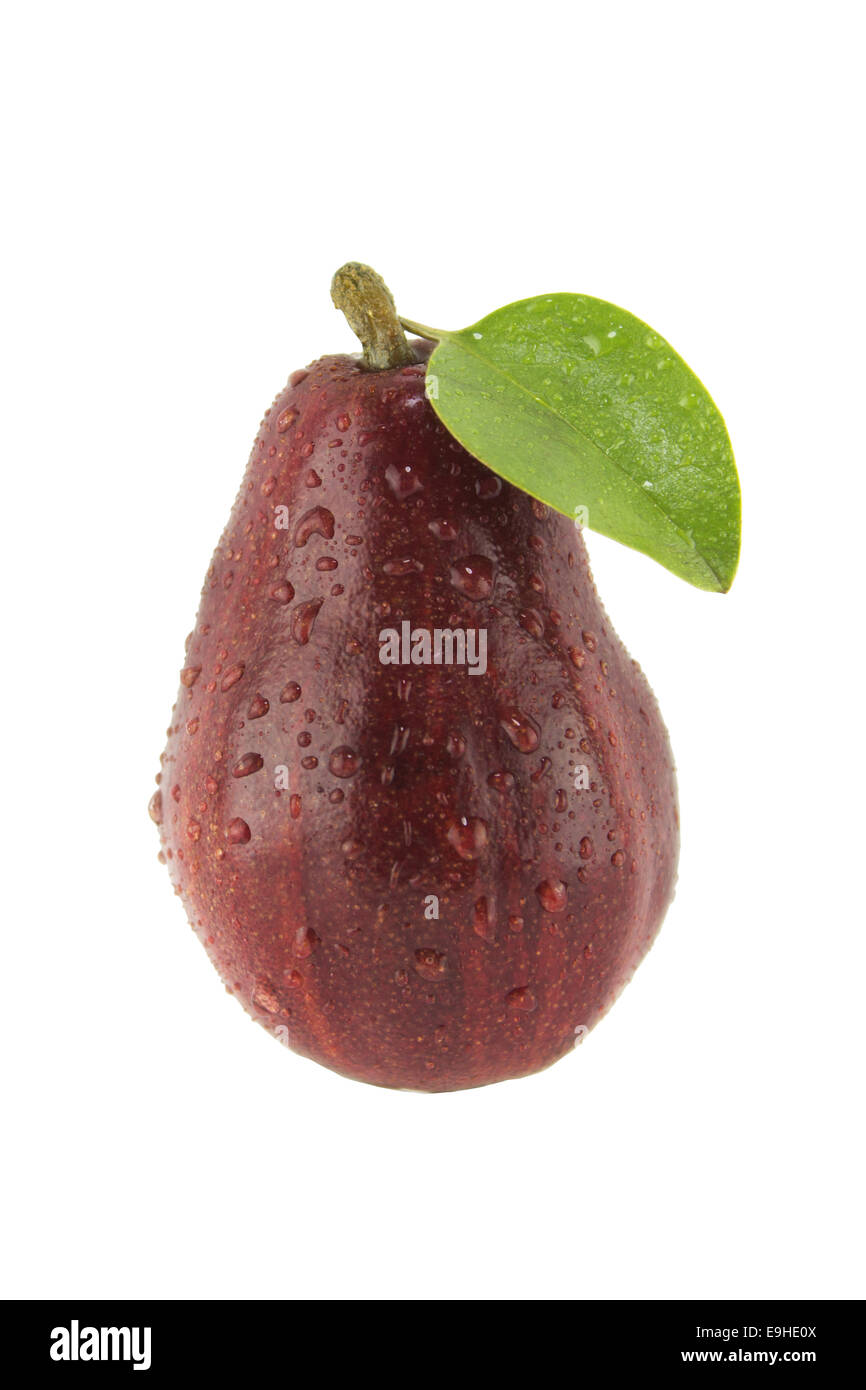 Fresh christ Cut Out Stock Images & Pictures - Alamy