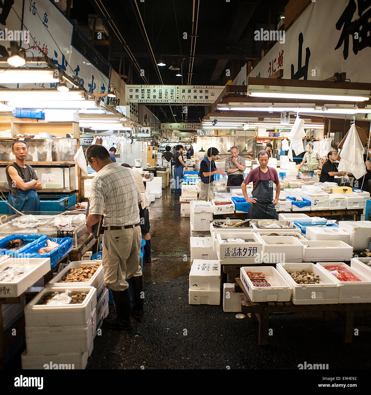 Tsukiji fish market, Tokyo, Japan Stock Photo - Alamy