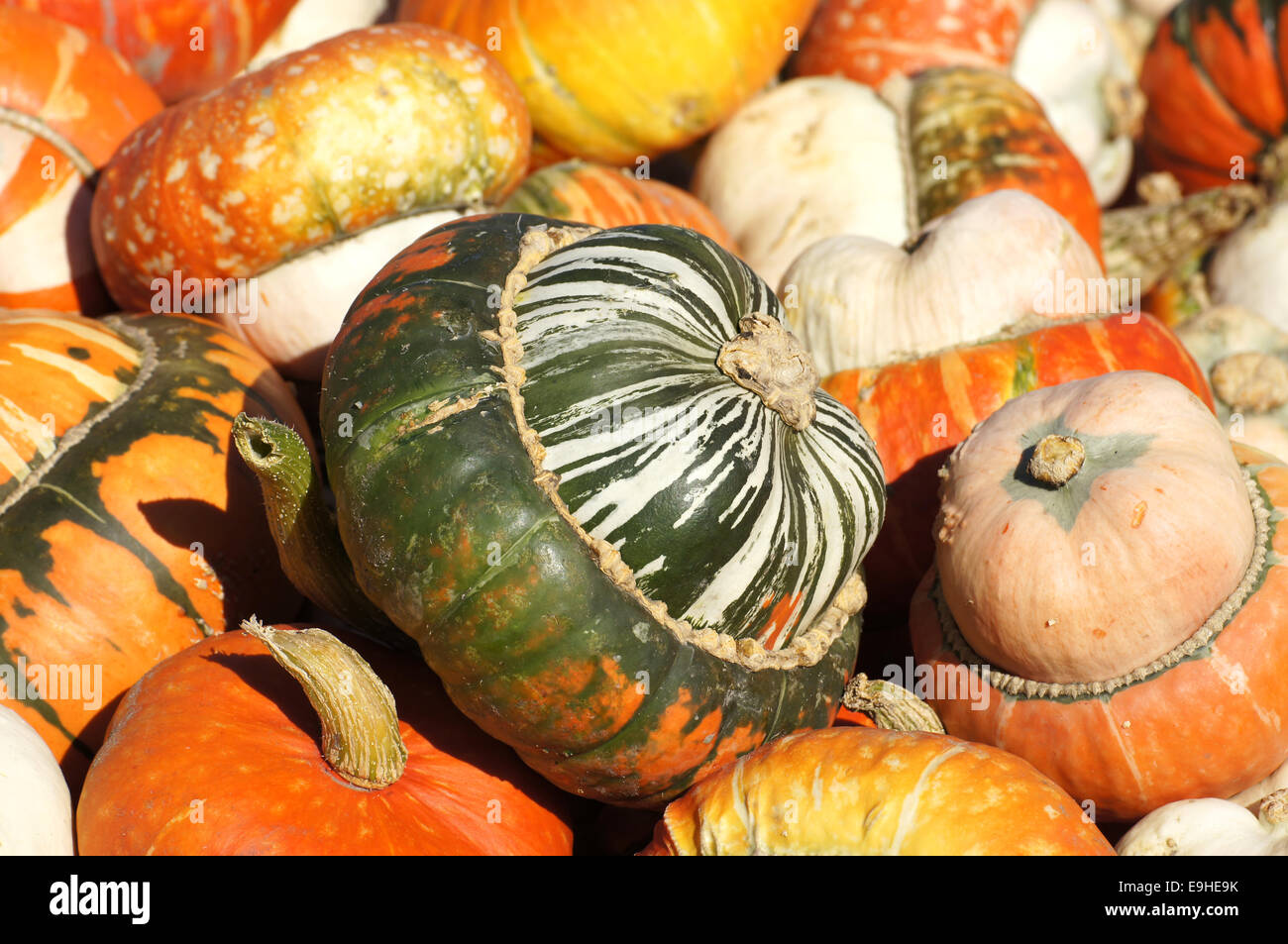 Artenreiches hi-res stock photography and images - Alamy