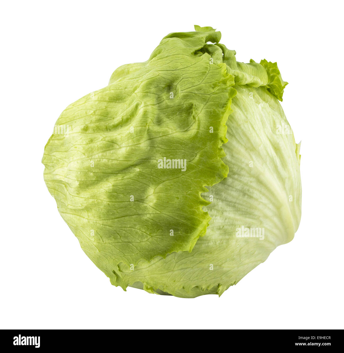 Green Iceberg lettuce Stock Photo - Alamy