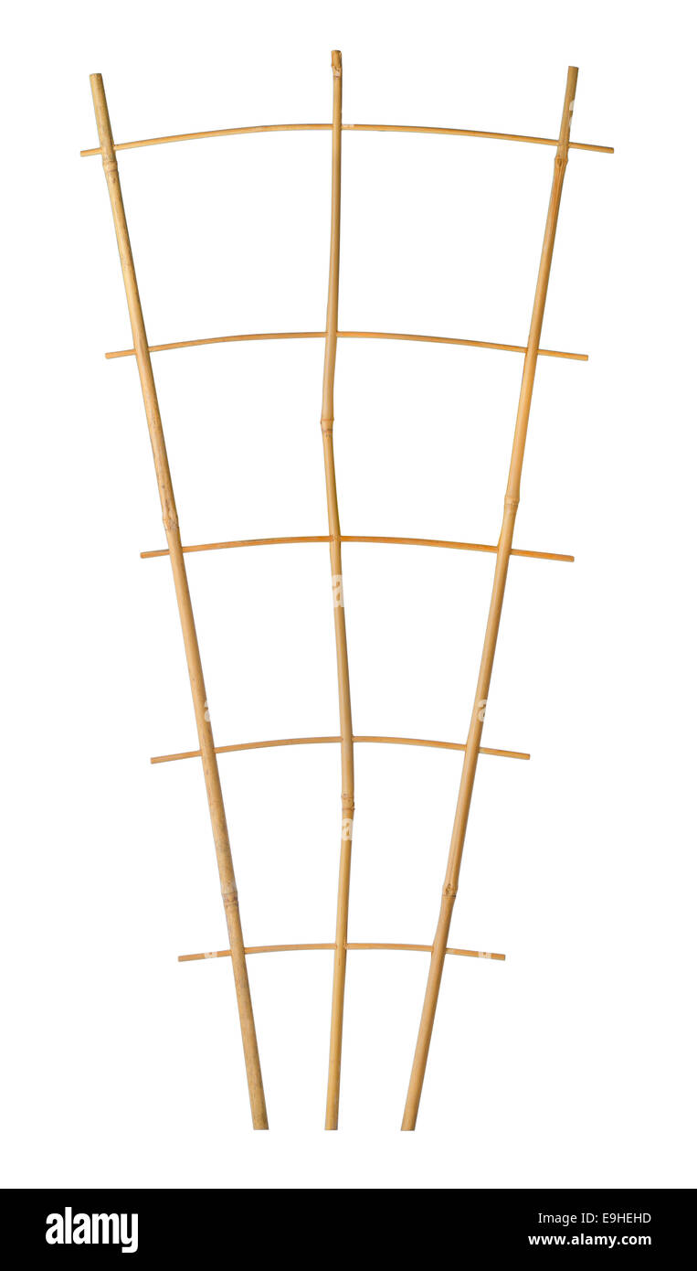 Trellis fence background hi-res stock photography and images - Alamy