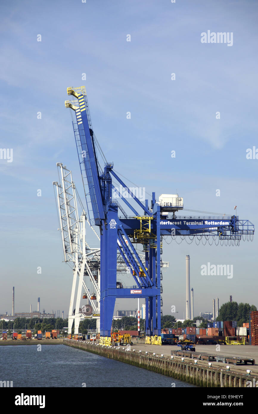 Container bridge in the harbor of Rotterdam Stock Photo - Alamy