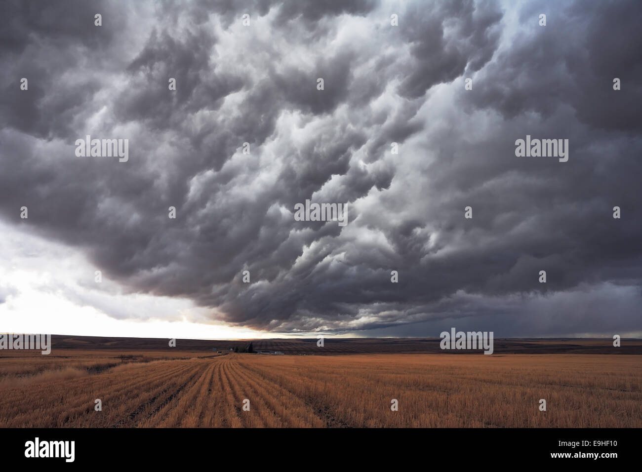 The enormous storm cloud Stock Photo - Alamy