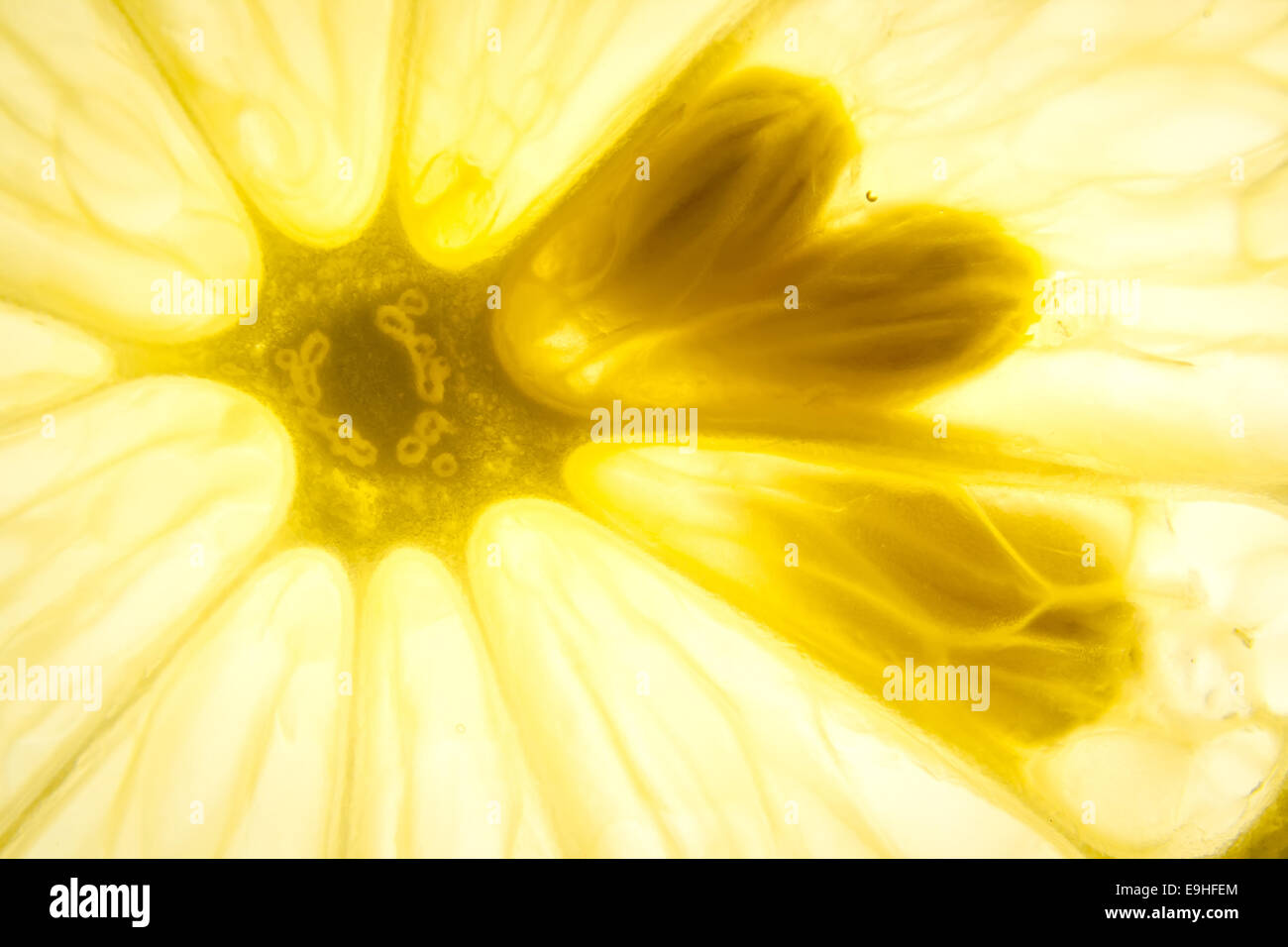 Lemon slice macro slice seed hi-res stock photography and images - Alamy