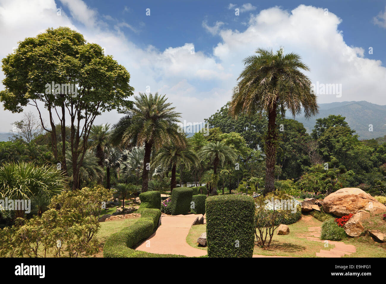 Beautiful day in park sun hi-res stock photography and images - Alamy