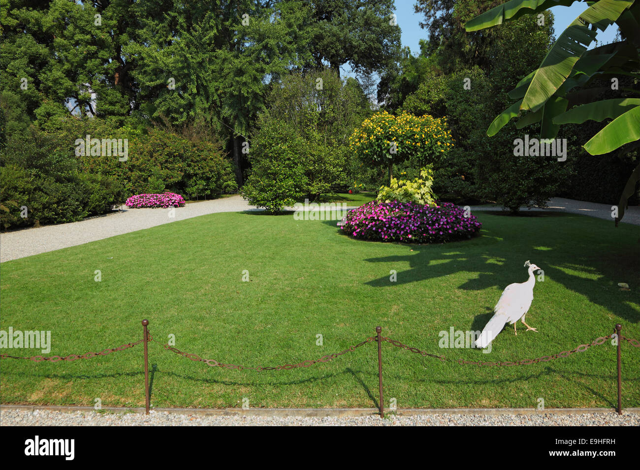 Regal animals hi-res stock photography and images - Alamy