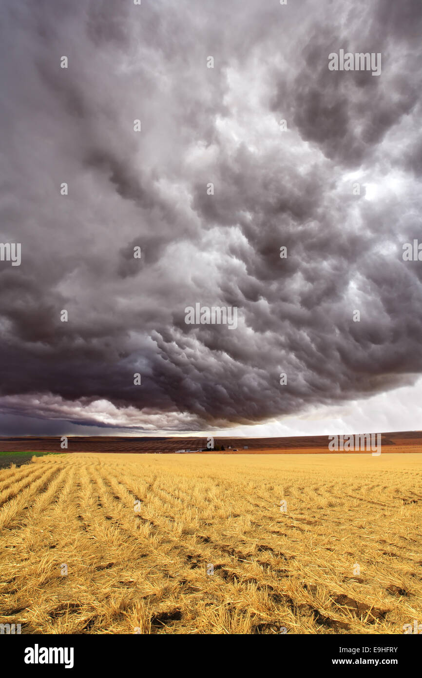 Grain storm hi-res stock photography and images - Alamy