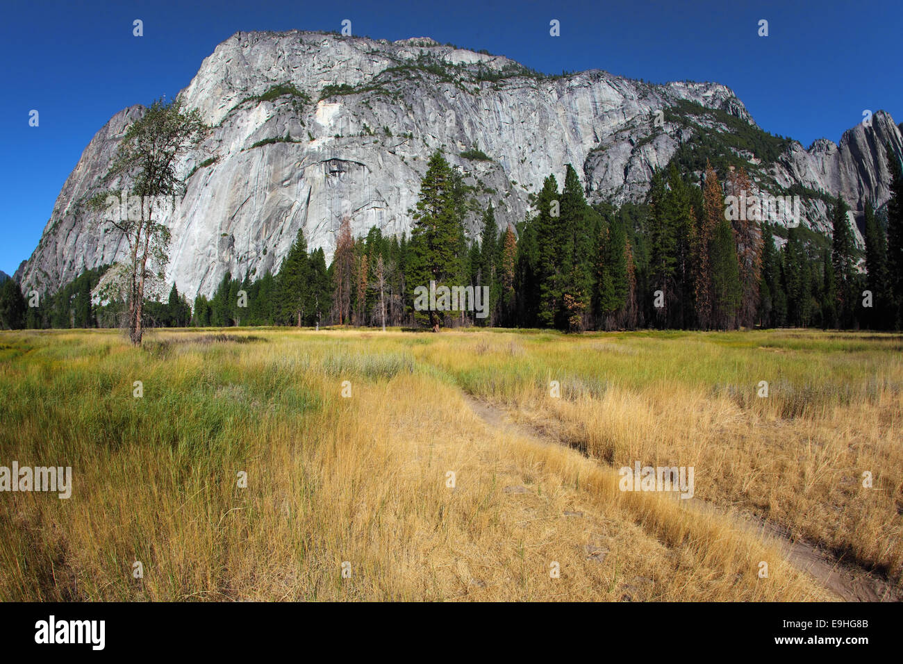 Magnificent glade in valley Yosemite Stock Photo - Alamy