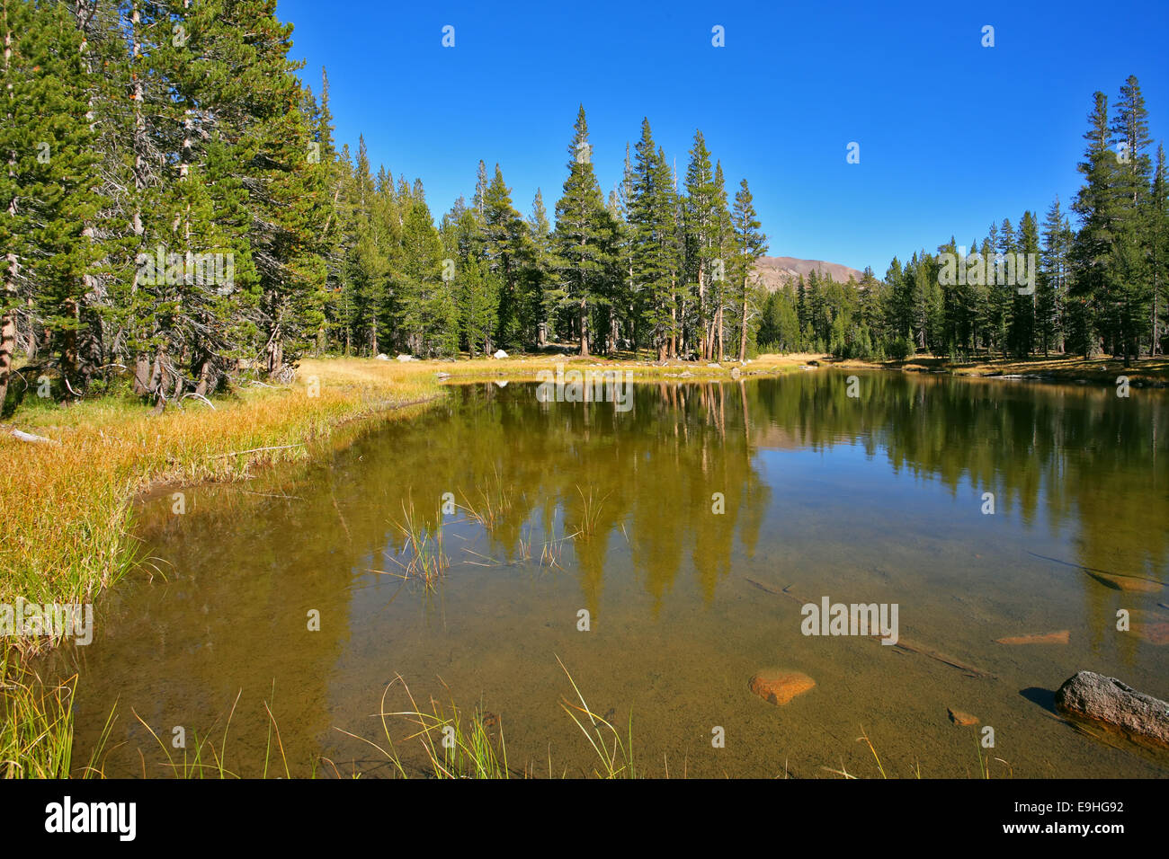 Beautiful lake with trees hi-res stock photography and images - Alamy
