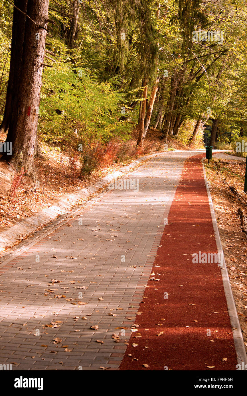 Woodland bike route hi-res stock photography and images - Alamy