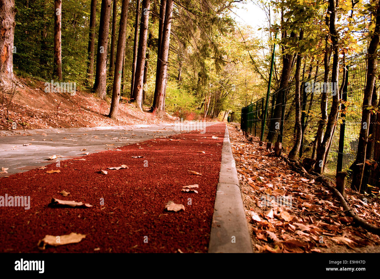 Mountain bike path in hi-res stock photography and images - Alamy