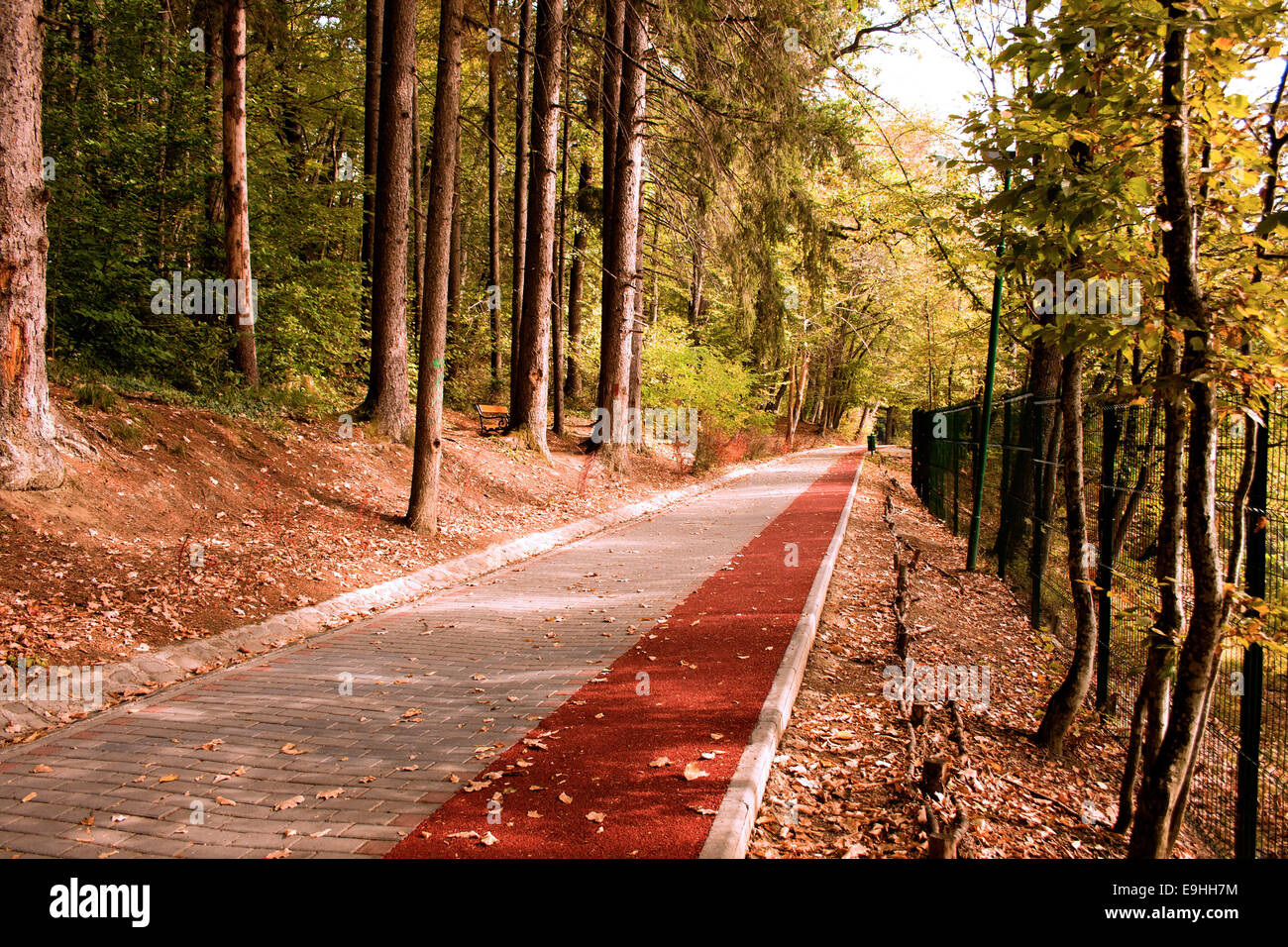 Mountain bike path in hi-res stock photography and images - Alamy