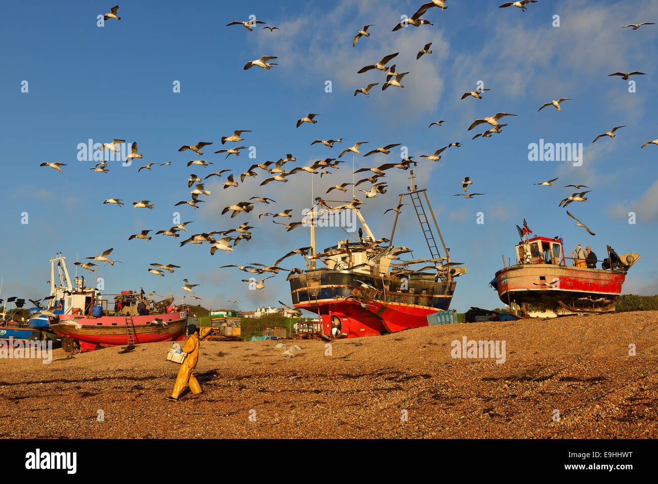 Hastings fishing boats moored on the beach with a flock of gulls above ...