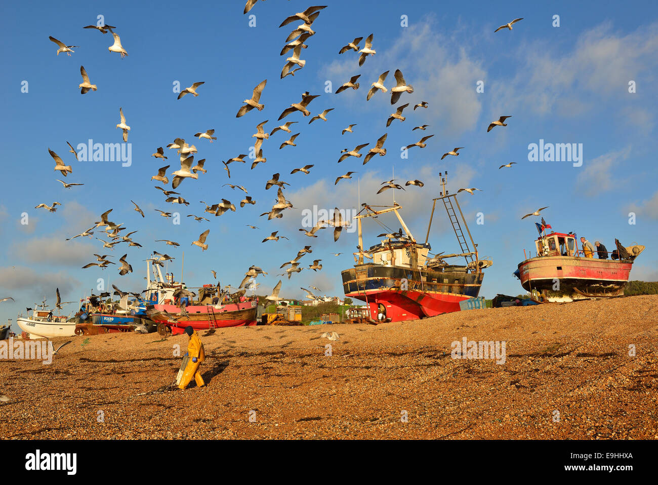 Hastings fishing boats moored on the beach with a flight of gulls above ...