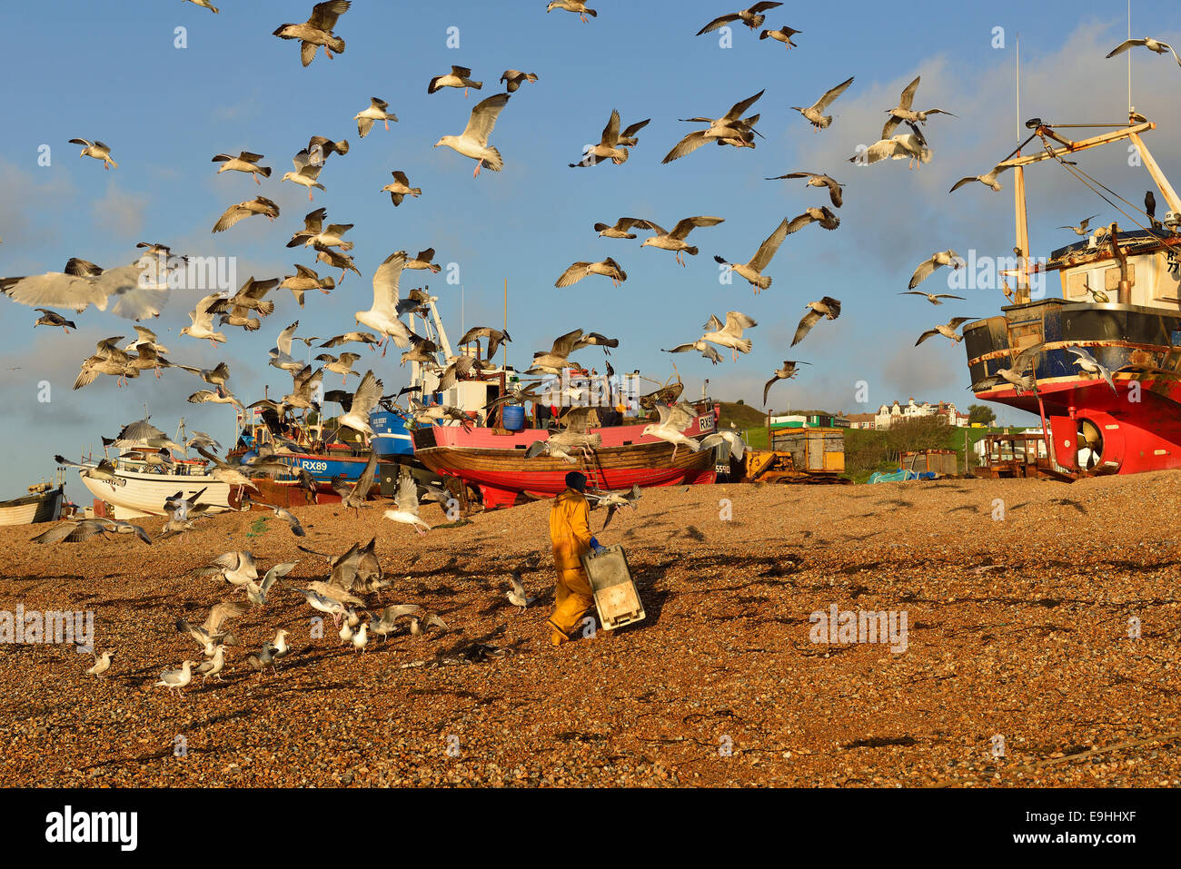 Hastings fishing boats moored on the beach with a flight of gulls above ...