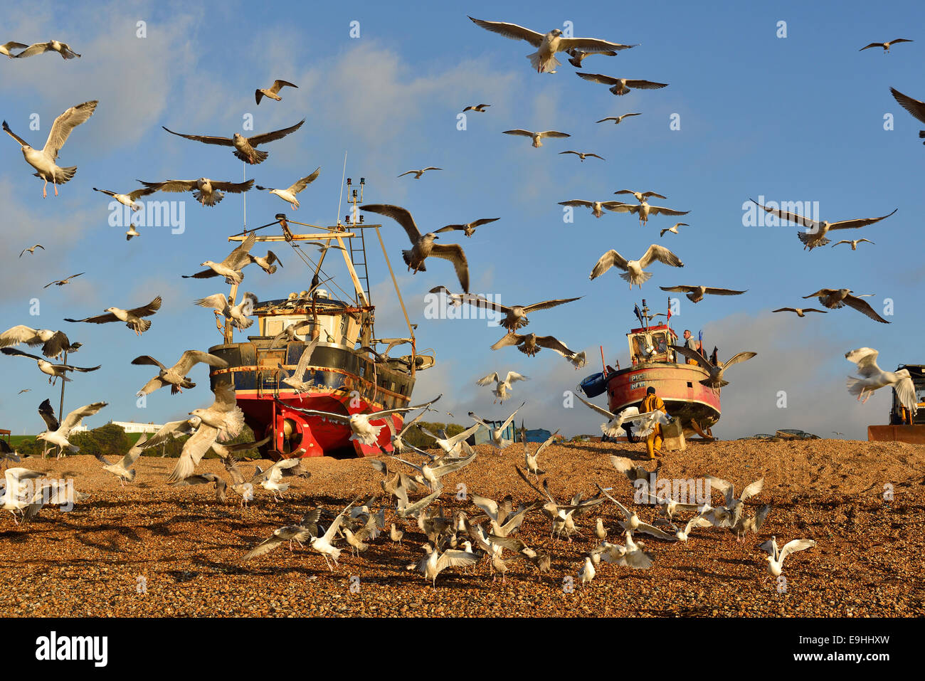 Hastings fishing boats moored on the beach with a flight of gulls above ...