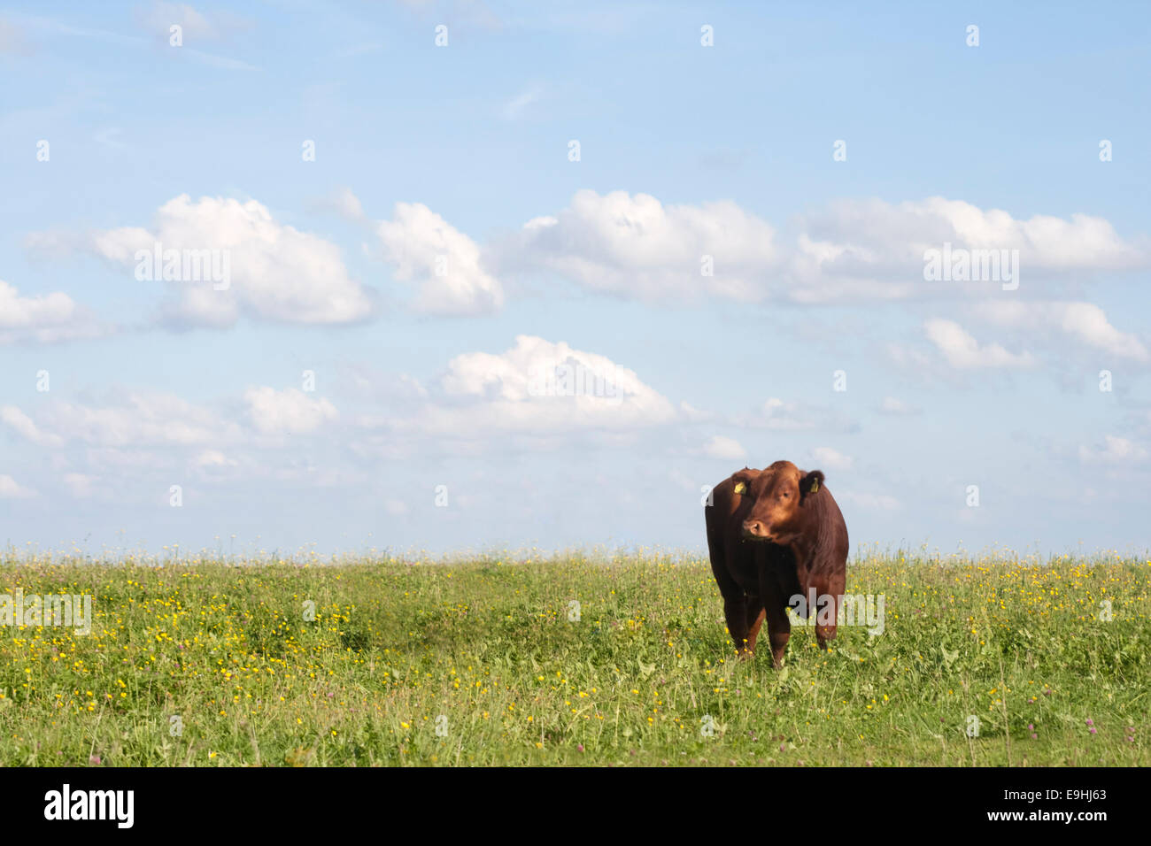 Friendly outside hi-res stock photography and images - Alamy