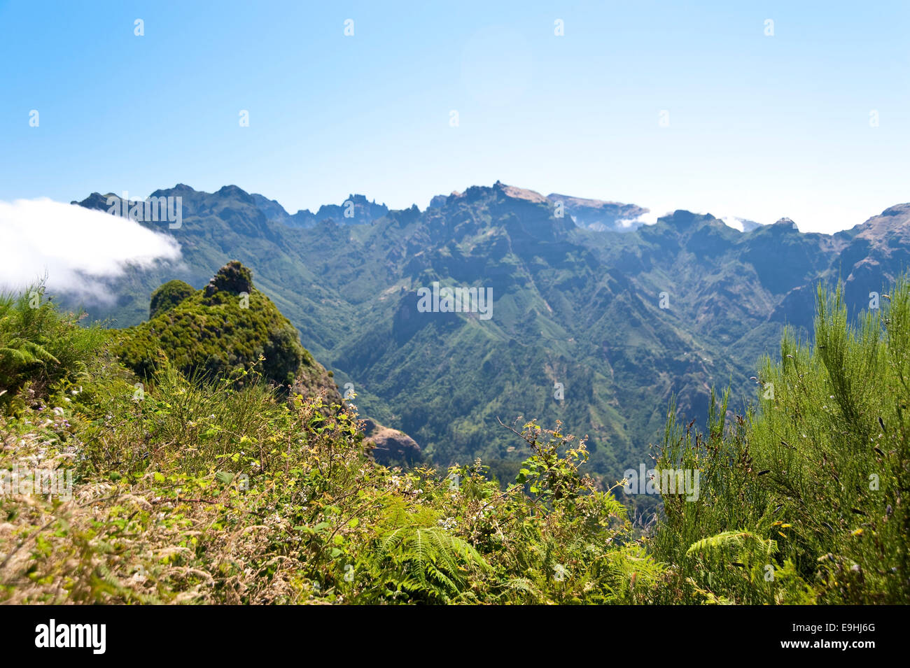 scene in portugal / island of madeira Stock Photo - Alamy