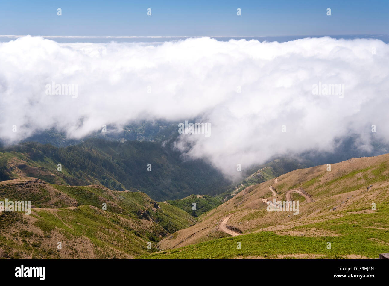 scene in portugal / island of madeira Stock Photo - Alamy