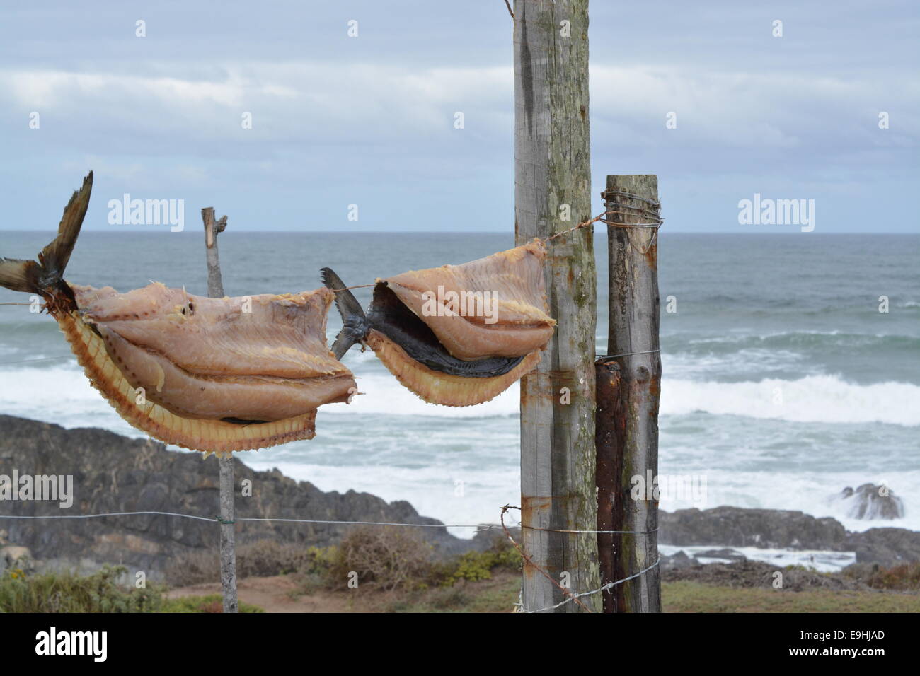 Fish fence hi-res stock photography and images - Alamy