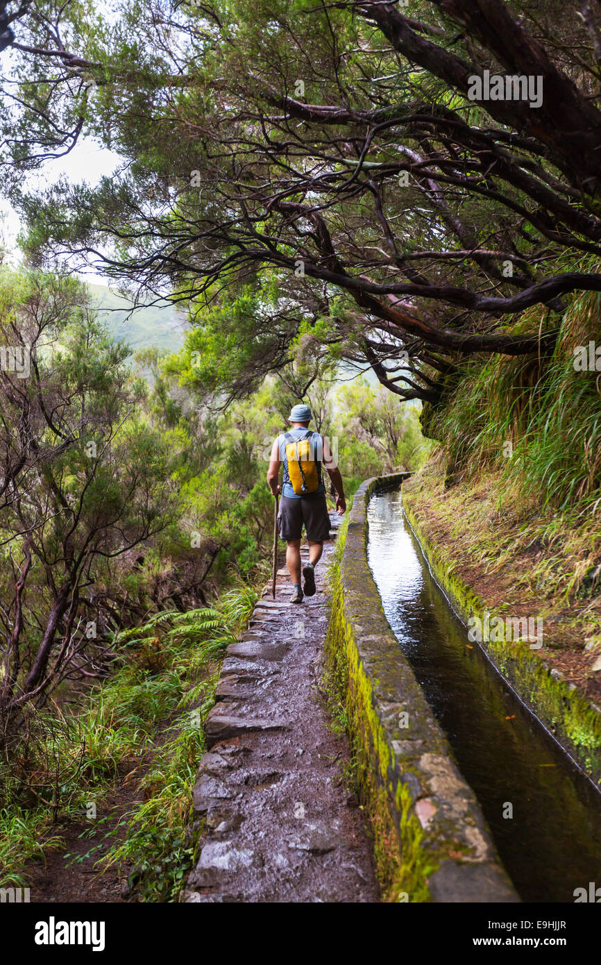 Hike in Madeira Stock Photo - Alamy
