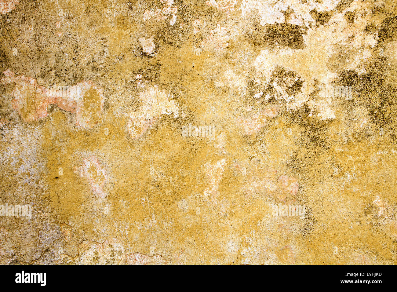 Weatherd texture hi-res stock photography and images - Alamy