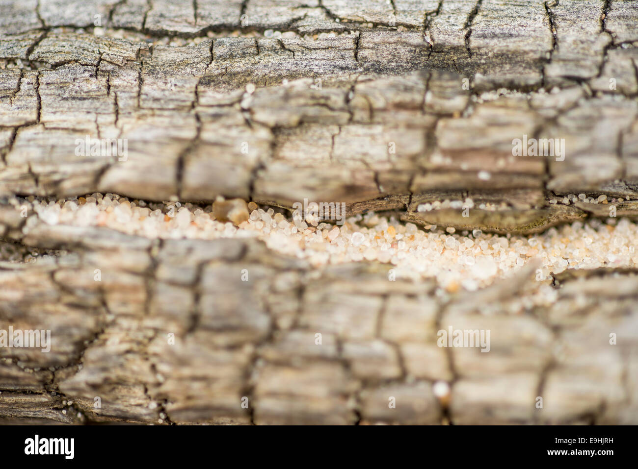 Abstract view of roof light in BW Stock Photo - Alamy