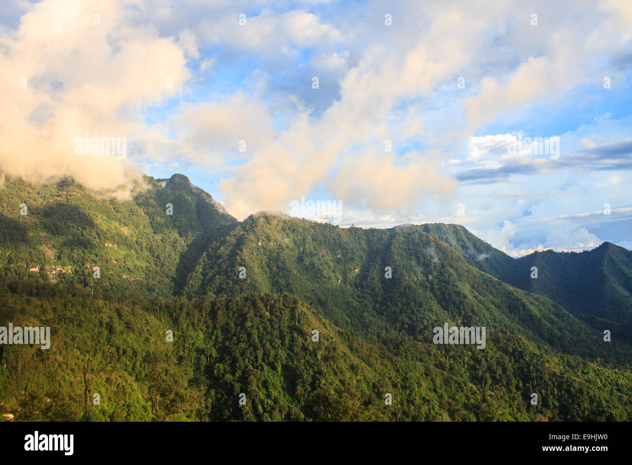 beautiful green mountains and forest on top veiw Stock Photo - Alamy