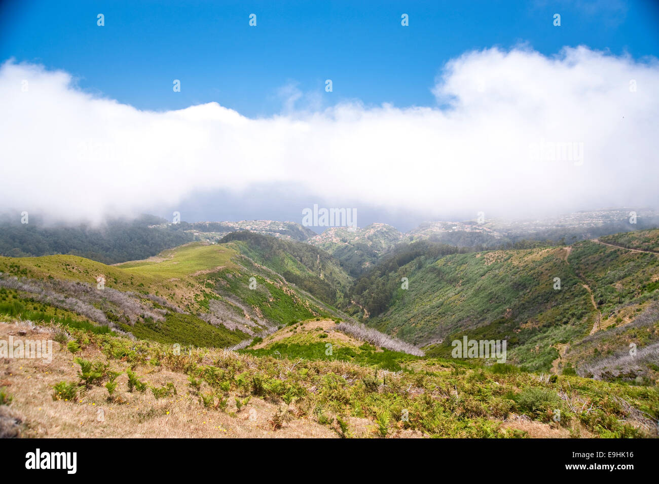 scene in portugal / island of madeira Stock Photo - Alamy