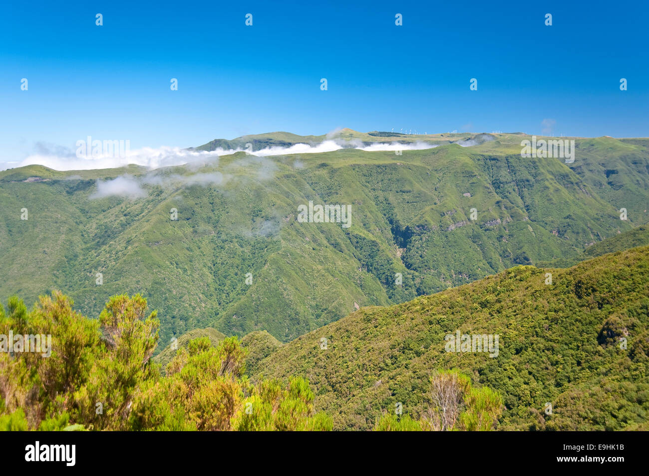 scene in portugal / island of madeira Stock Photo - Alamy