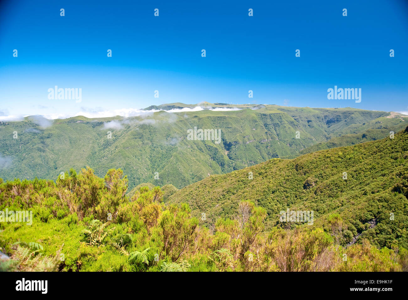 scene in portugal / island of madeira Stock Photo - Alamy